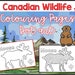 Canadian Wildlife Colouring Pages & Dot Art - Etsy