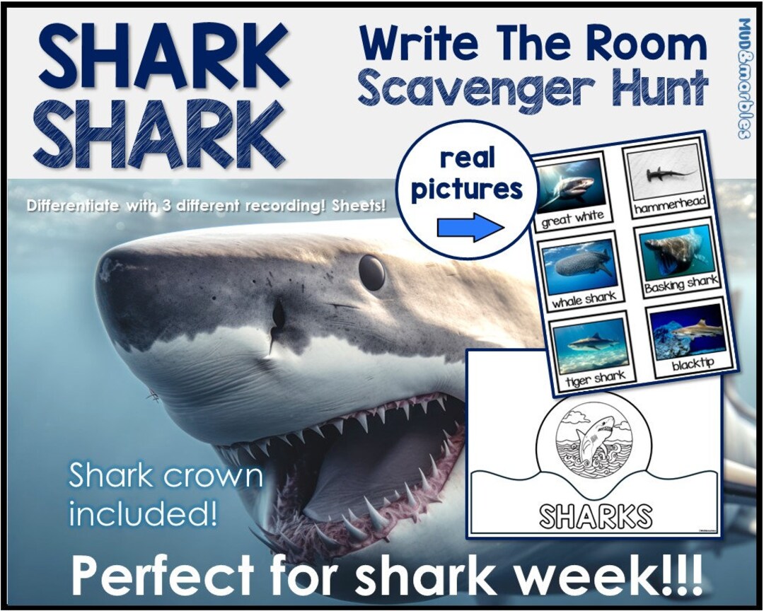 Shark Write the Room Scavenger Hunt - Etsy