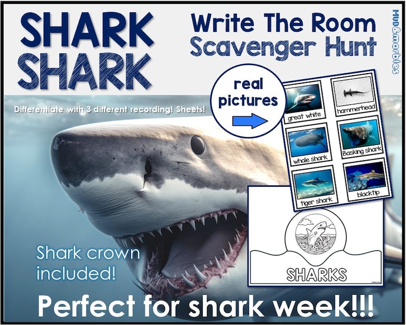Shark Write the Room Scavenger Hunt - Etsy