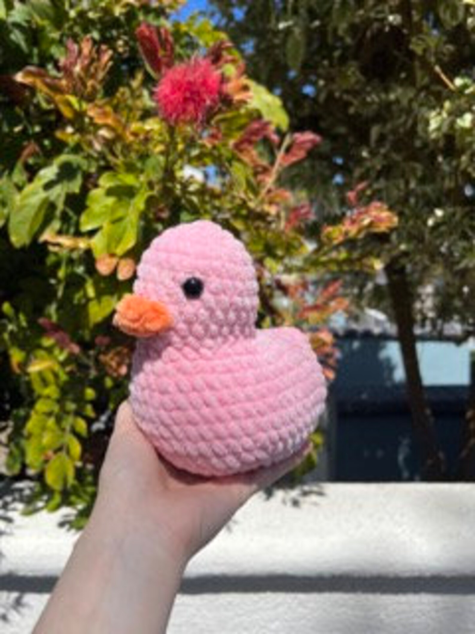 Dear Duck - Etsy