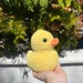 Dear Duck - Etsy