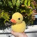 Dear Duck - Etsy