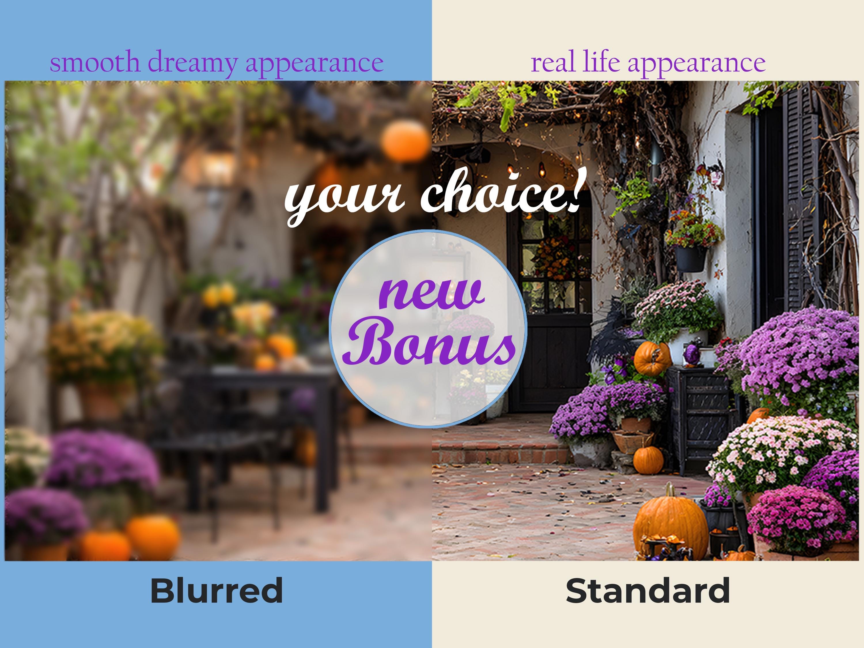 Elegant Fall Porch Virtual Background: Pumpkins & Flowers (digital ...