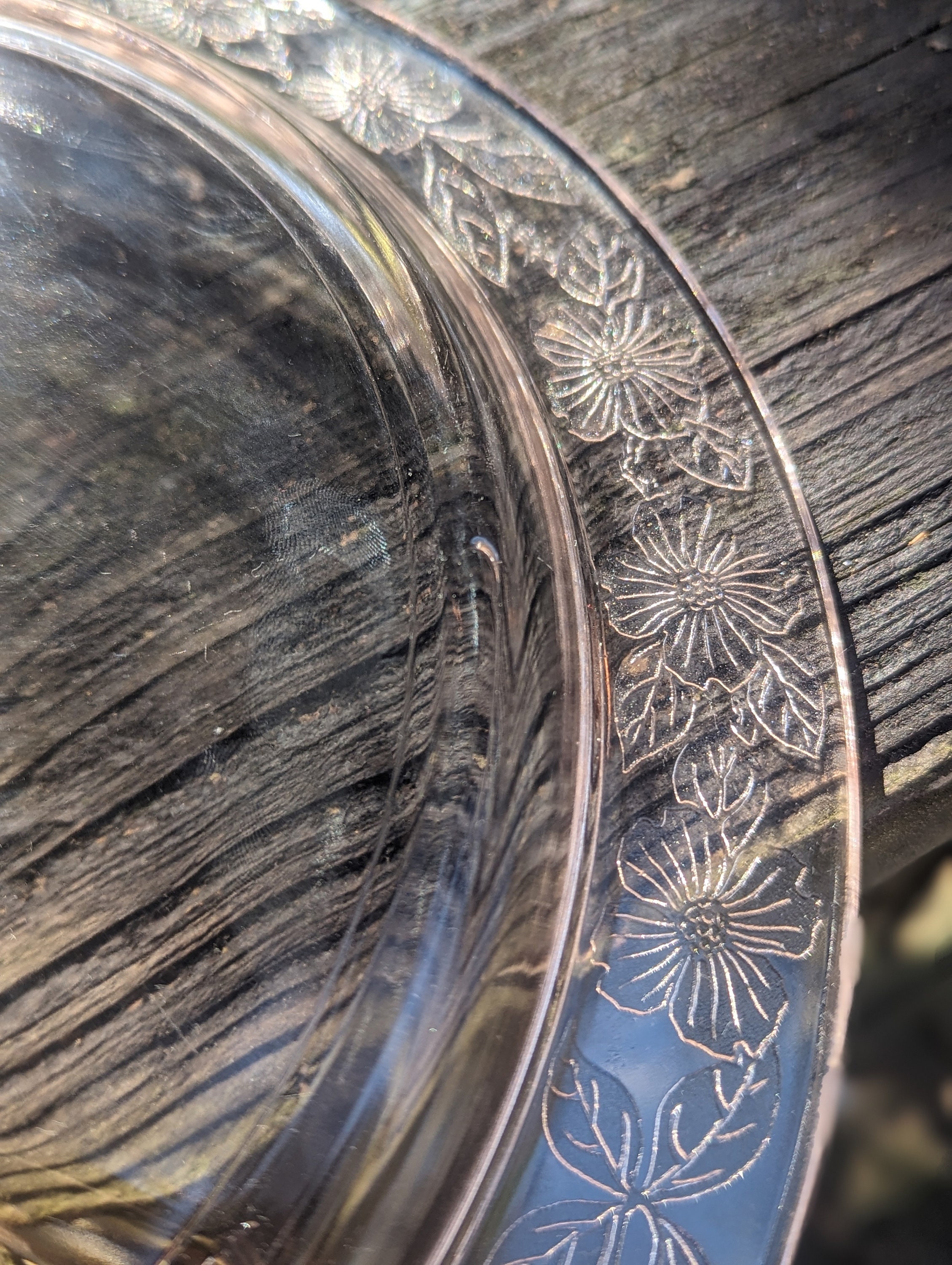 Macbeth-evans Dogwood Pink Depression Glass Grill Plate With a Small ...