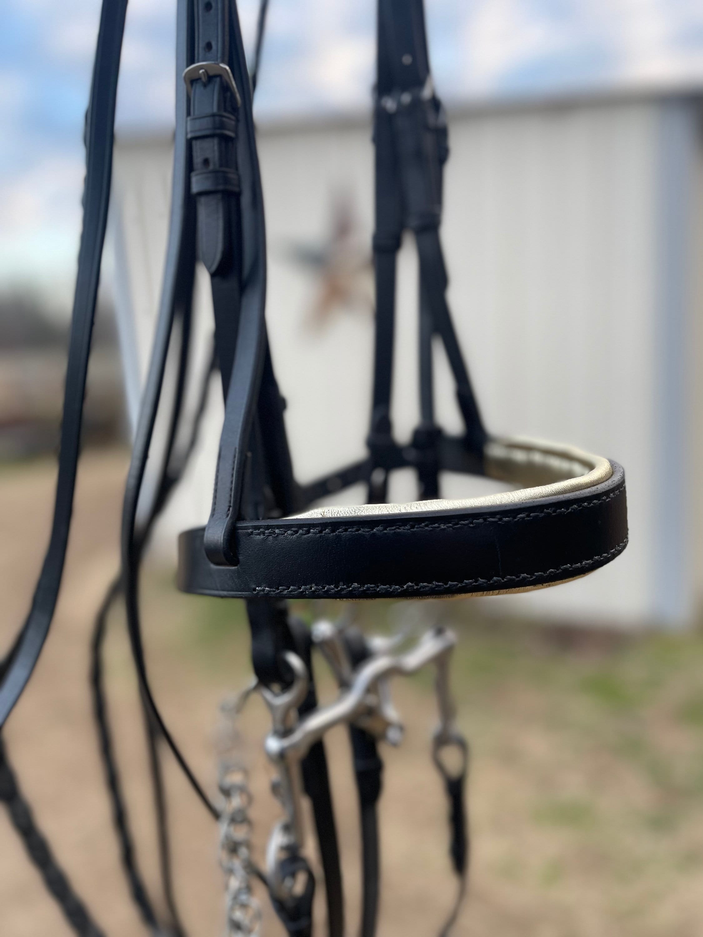 Double Bridle Full Size Horse Padded 5bits Included - Etsy