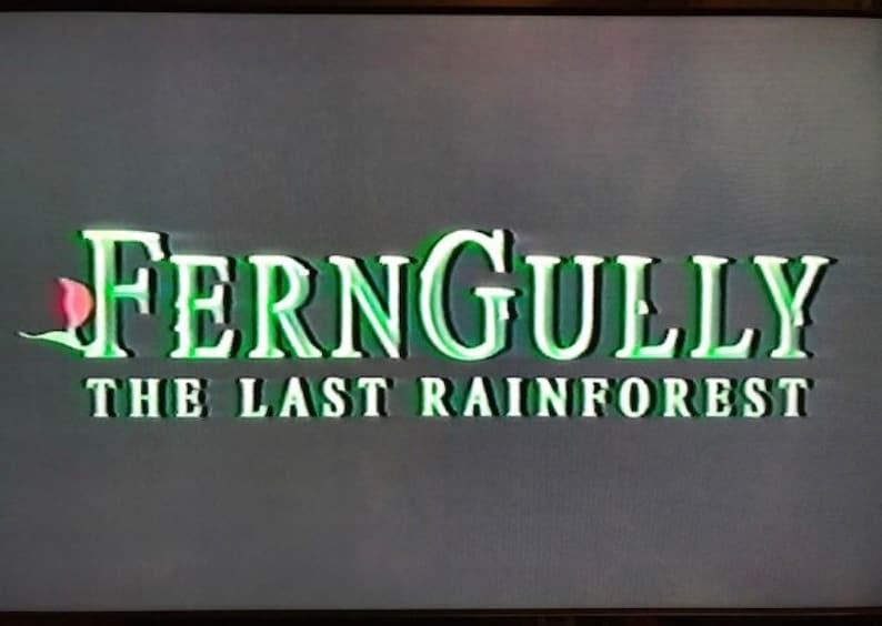 Ferngully the Last Rainforest VHS Video Movie Film 1992 Fern Gully - Etsy
