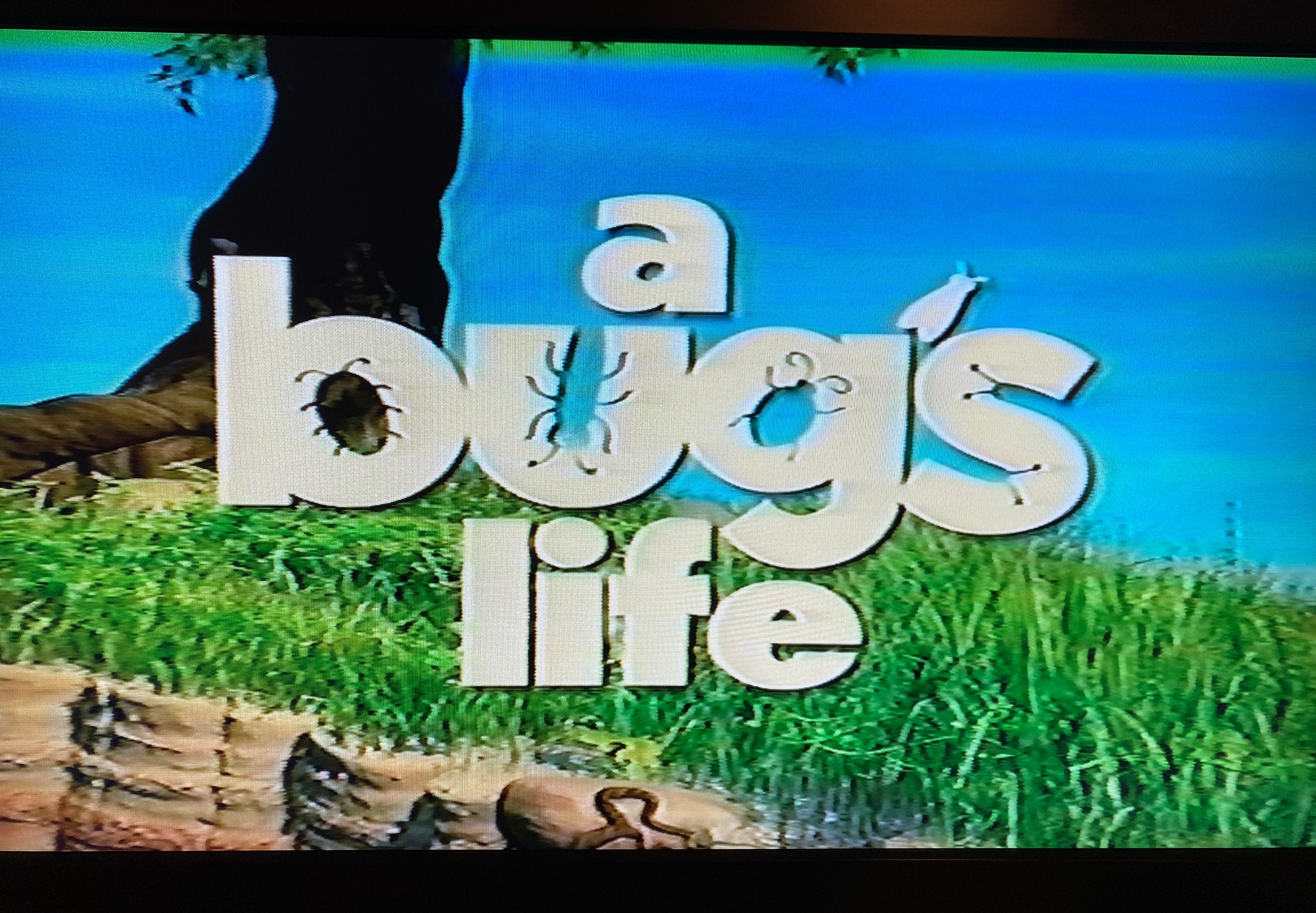 1998 A Bugs Life VHS Disney Pixar Animated Classic Family Childrens ...
