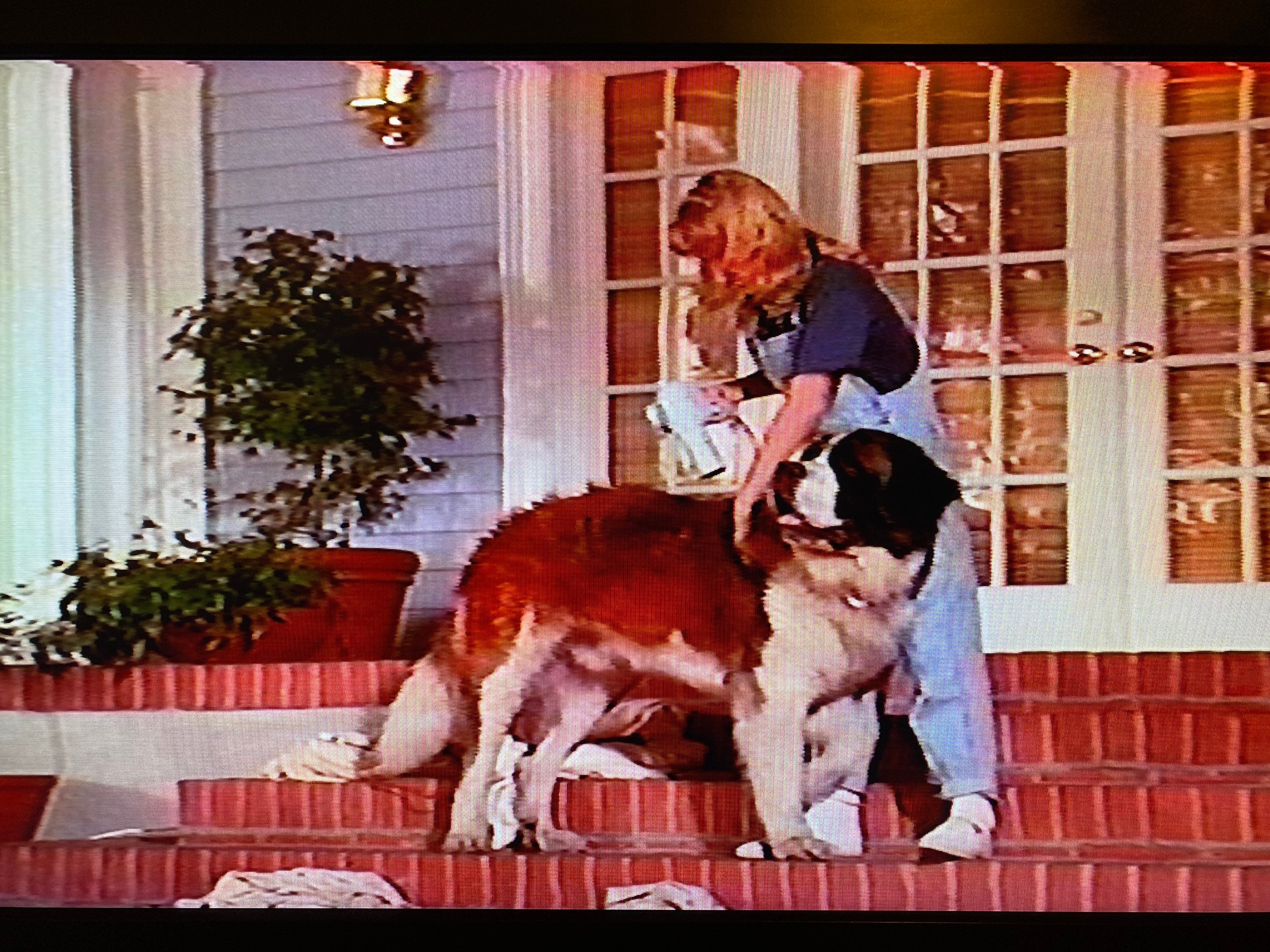 Beethoven VHS Video 1992 Film Comedy Family Movie - Etsy