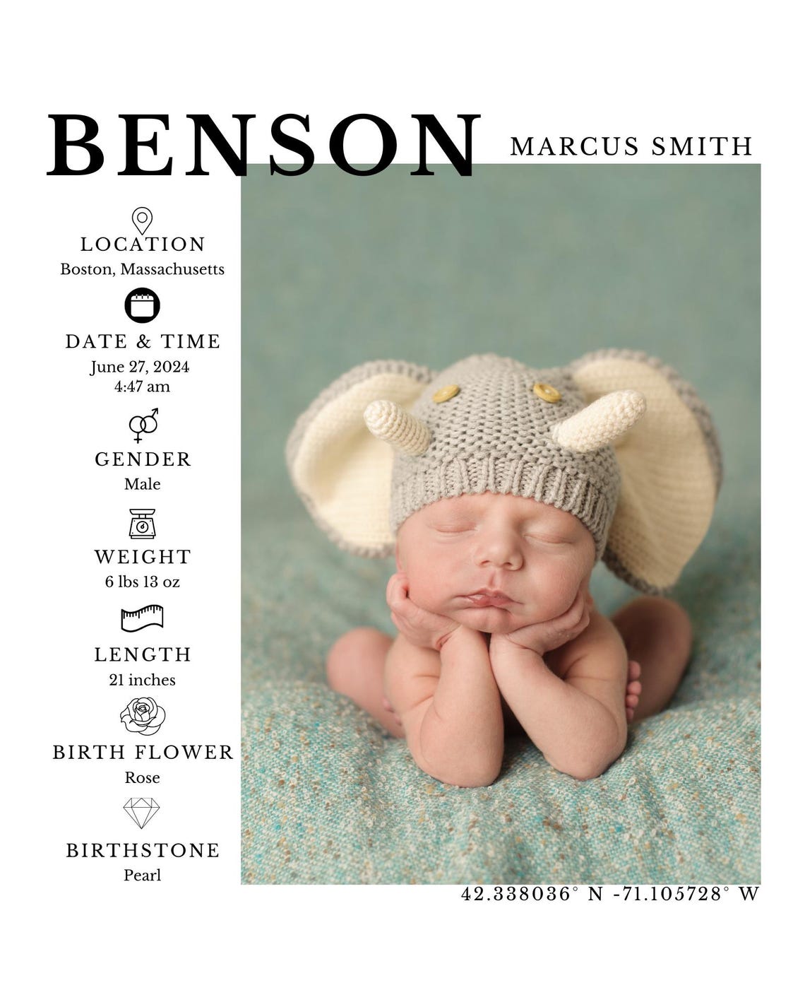 Birth Stats Print | Birth Poster | Birth Stats Poster | Newborn Poster ...