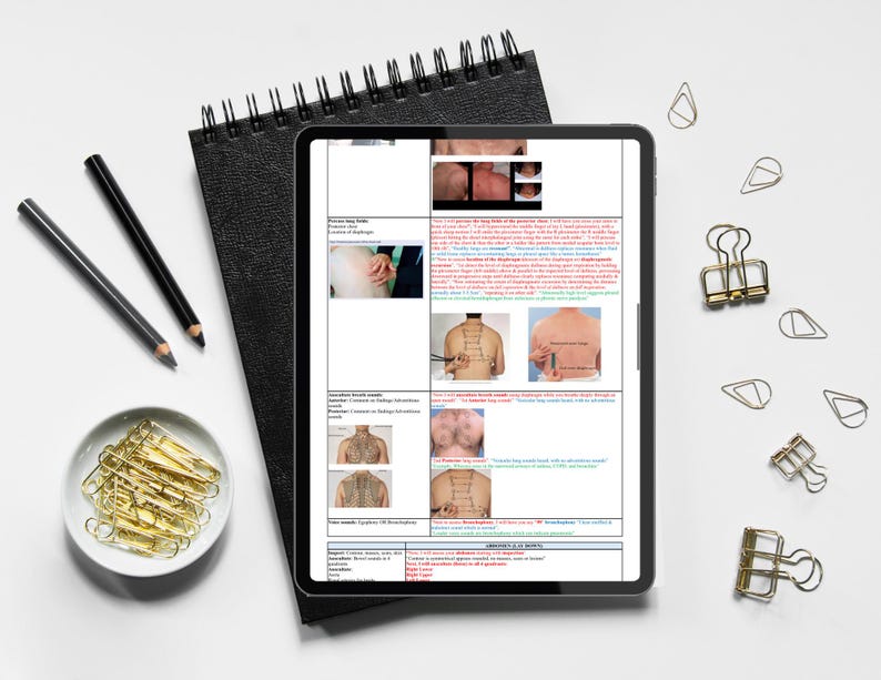 Head to Toe Adult Assessment Guide NP RN - Etsy