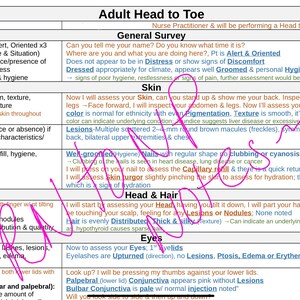 Head to Toe Adult Assessment Guide NP RN - Etsy
