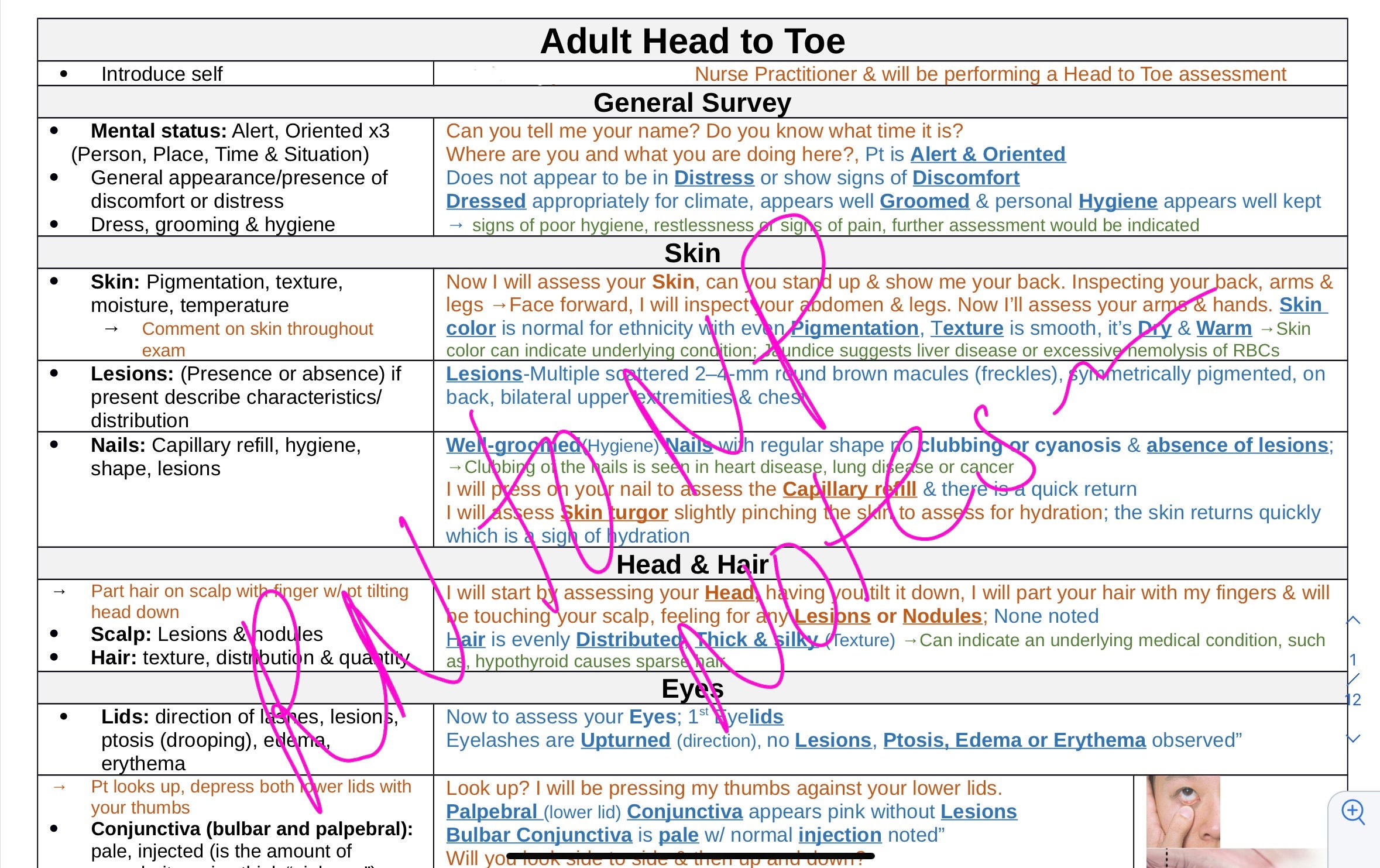 Head to Toe Adult Assessment Guide NP RN - Etsy