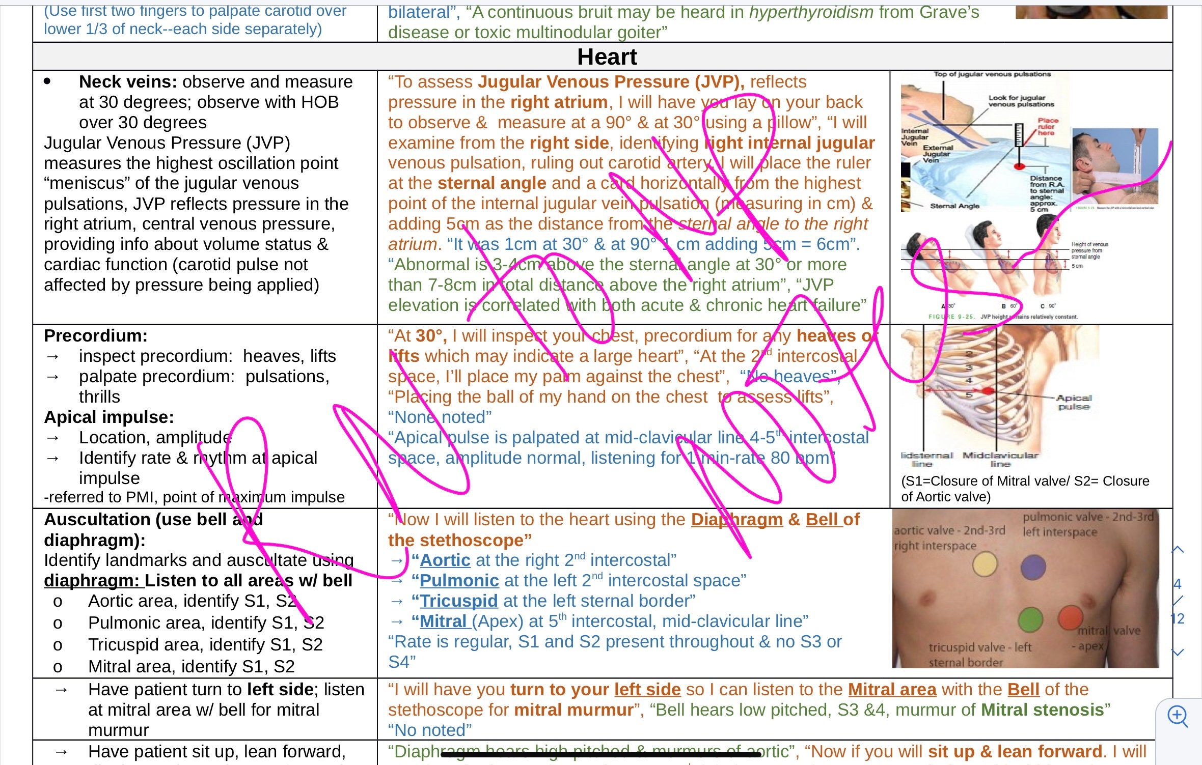 Head to Toe Adult Assessment Guide NP RN - Etsy
