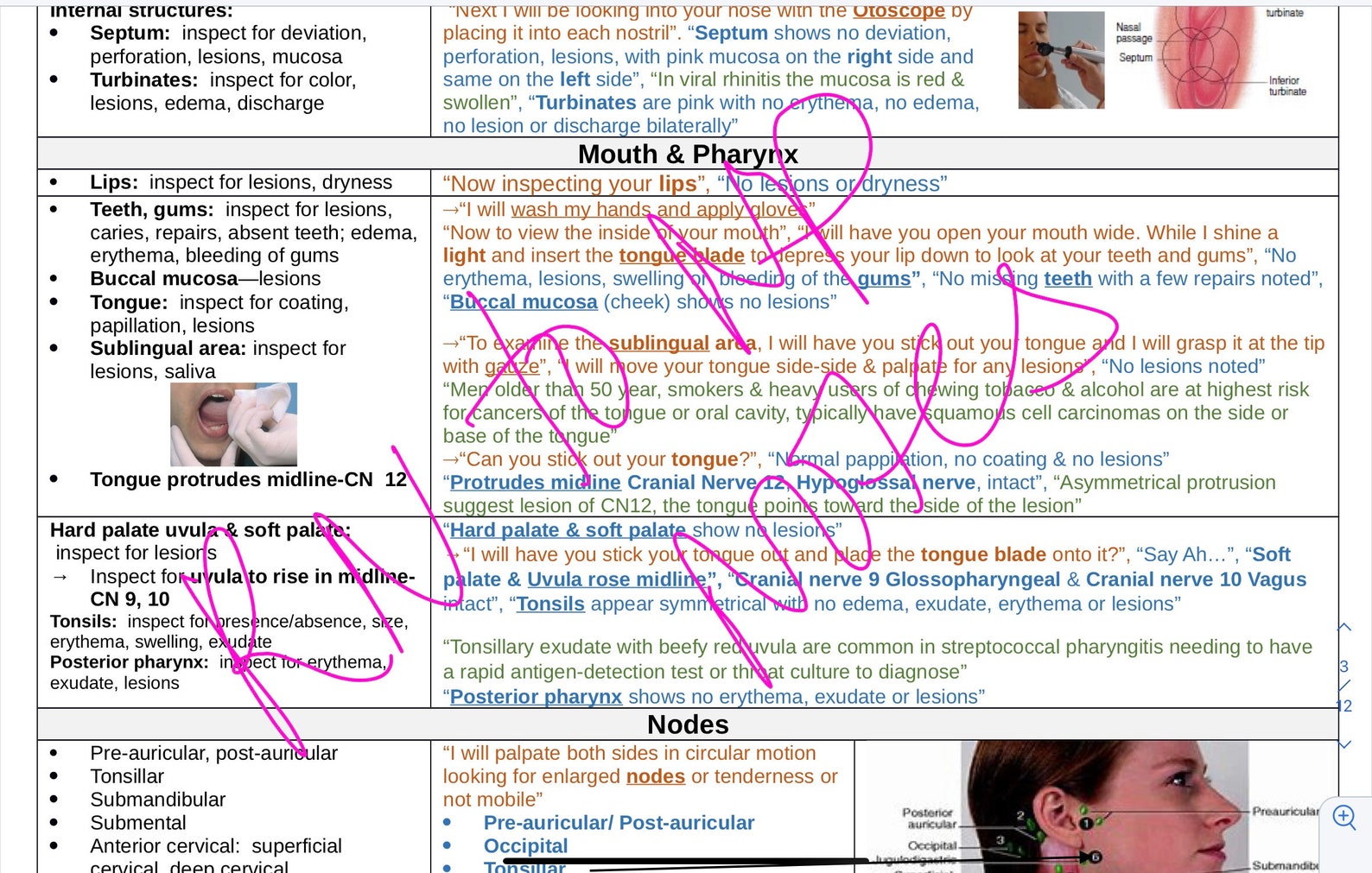 Head to Toe Adult Assessment Guide NP RN - Etsy