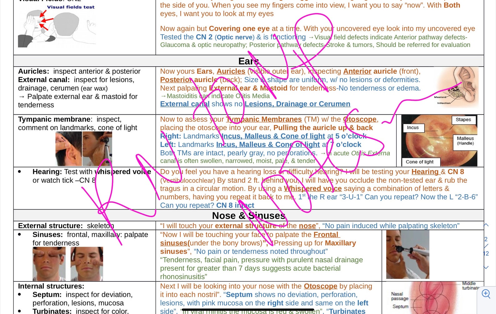 Head to Toe Adult Assessment Guide NP RN - Etsy