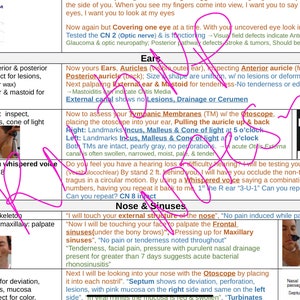 Head to Toe Adult Assessment Guide NP RN - Etsy