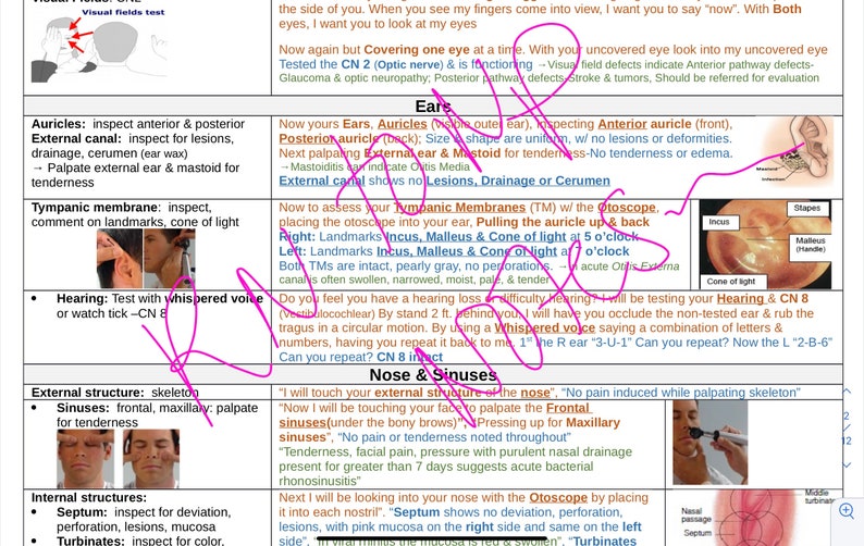 Head to Toe Adult Assessment Guide NP RN - Etsy