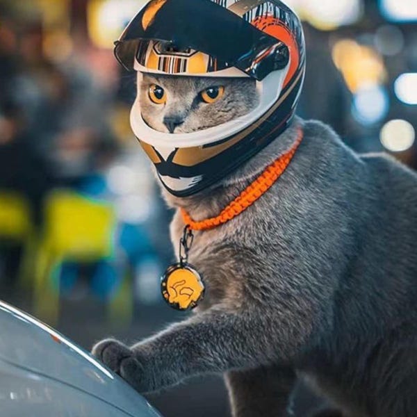 Motorcycle Helmet for Cats - Etsy