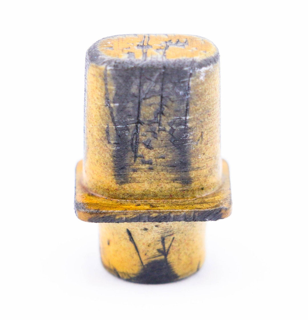 AGP ™ - Fender ® Telecaster - Aged Relic 3 Way Blade Top Hat Switch Tip ...