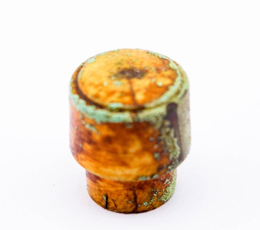 AGP ™ Telecaster ® Aged Relic 3 Way Blade Switch Tip 8132440 - Etsy