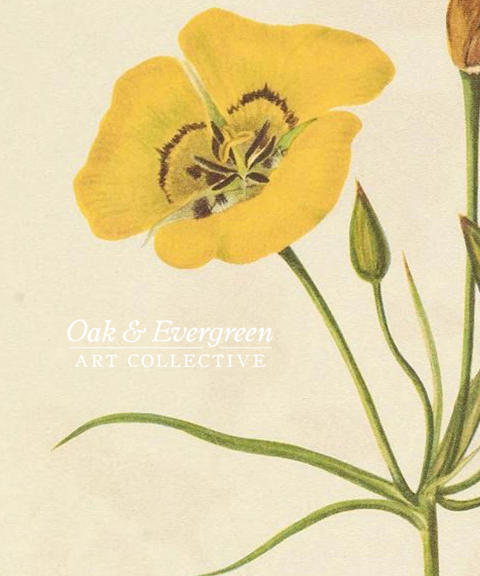 Vintage Botanical Wildflower Instant Download PRINTABLE Antique Wall ...