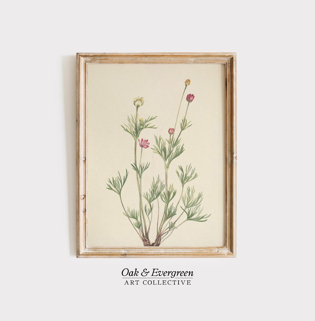 Vintage Red Wildflower Instant Download Antique Painting Art Floral ...