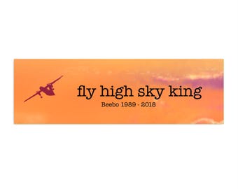 Sky King Bumper Sticker - Etsy