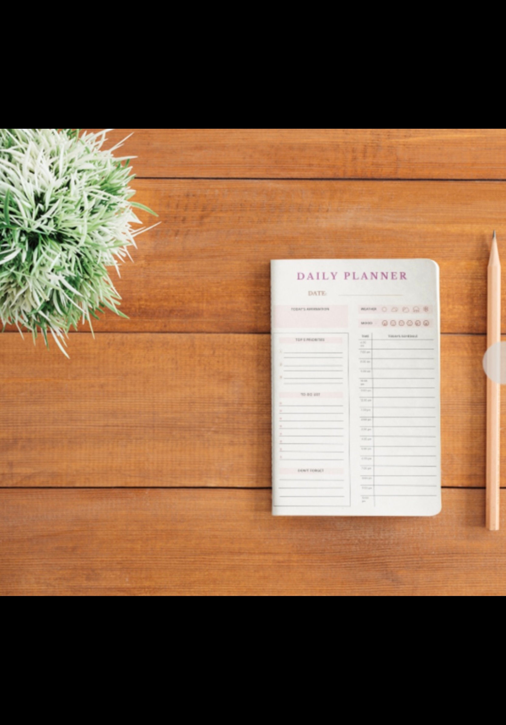 Daily Planner Printable, Daily to Do List, Minimal Productivity Planner ...