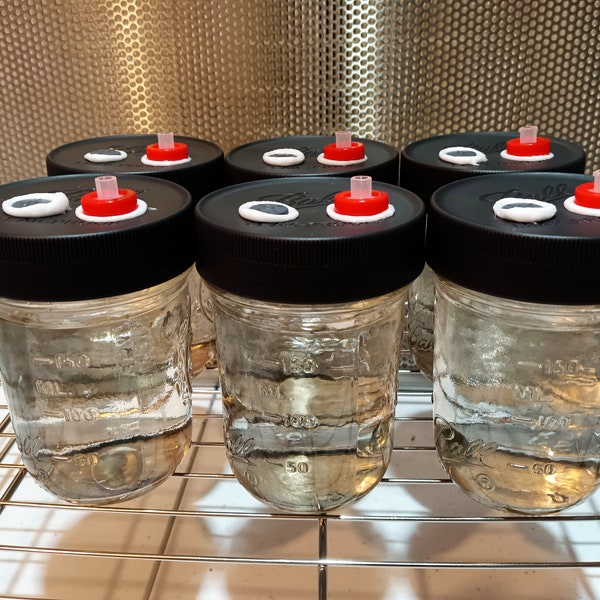 Liquid Culture Jar - Etsy