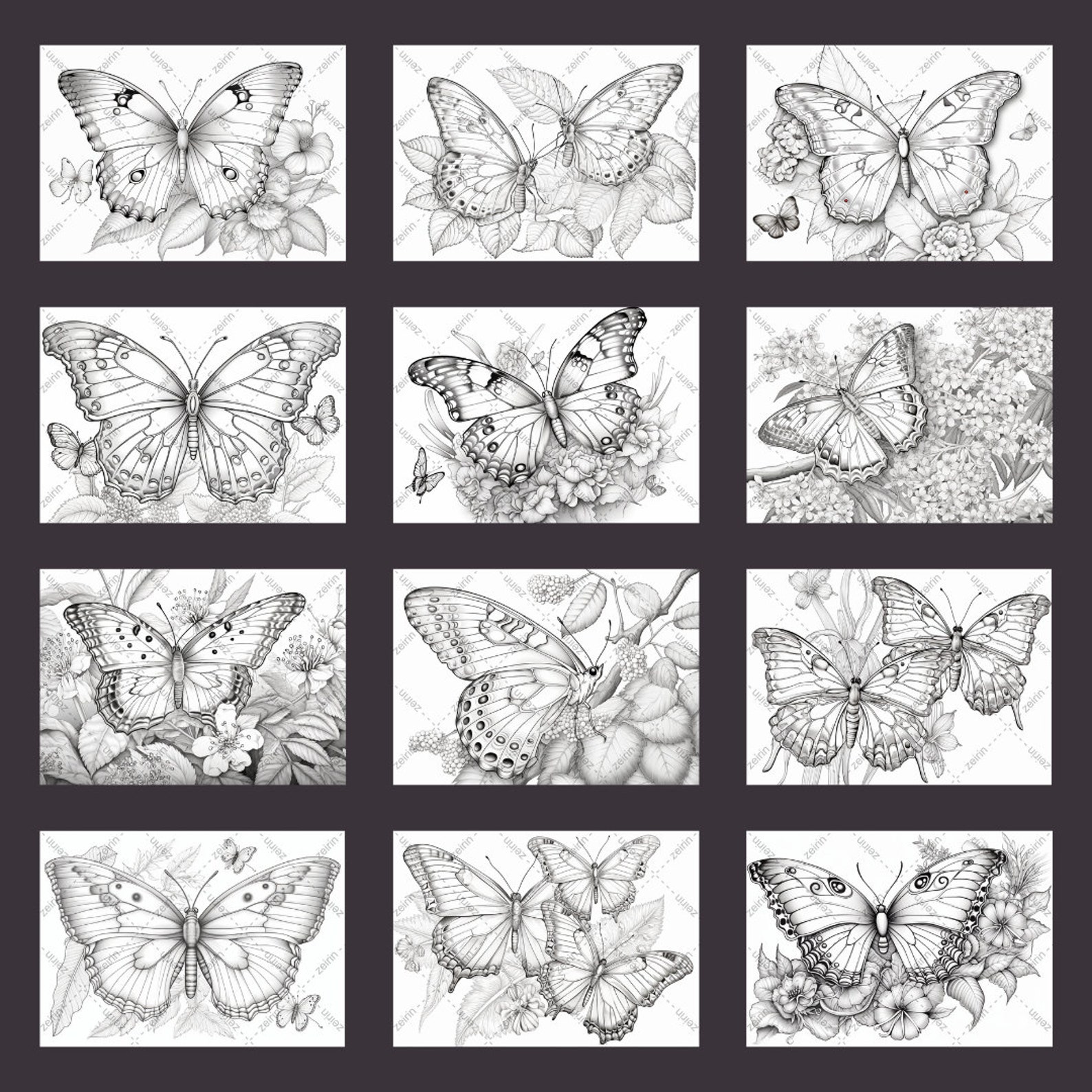 30 Butterflies Adult Coloring Pages Printable, Grayscale Coloring Books ...
