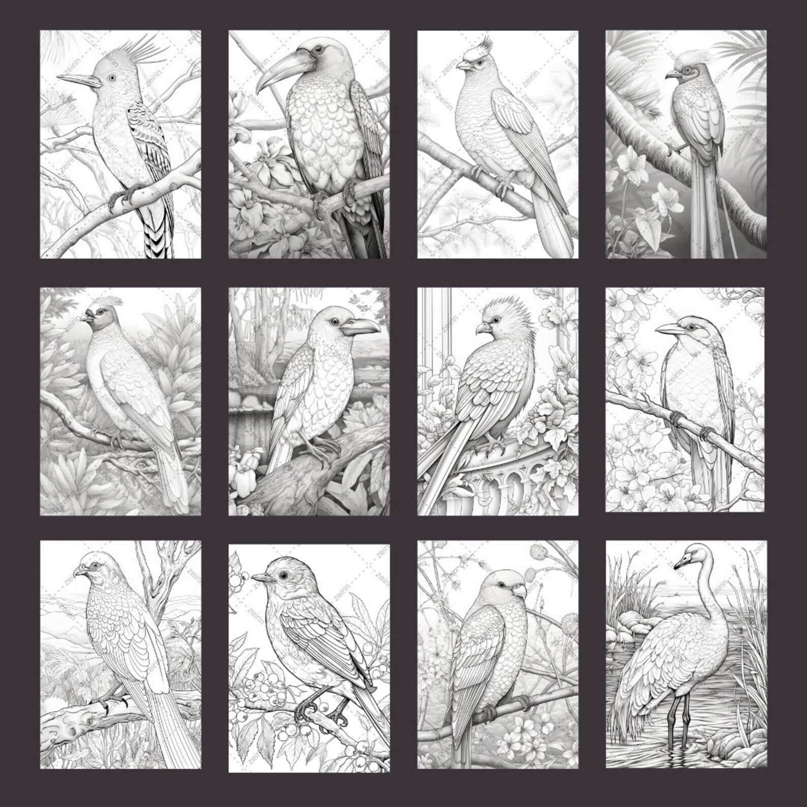 39 Exotic Birds Adult Coloring Pages Printable, Grayscale Coloring ...