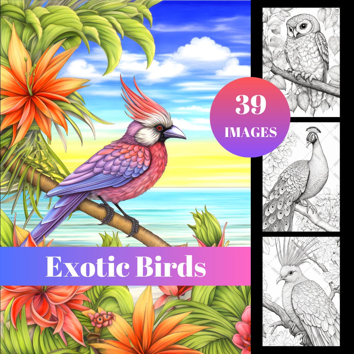 39 Exotic Birds Adult Coloring Pages Printable, Grayscale Coloring ...