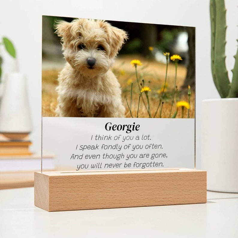 Custom Pet Memorial, Pet Photo Plaque, Pet RIP Plaque, Pet Remembrance ...