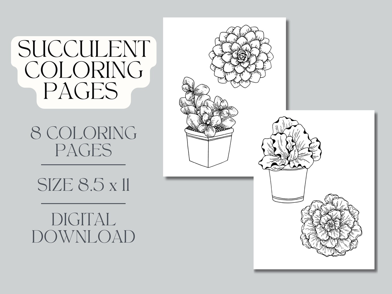 8 Succulent Coloring Pages Succulent Prints Nature - Etsy