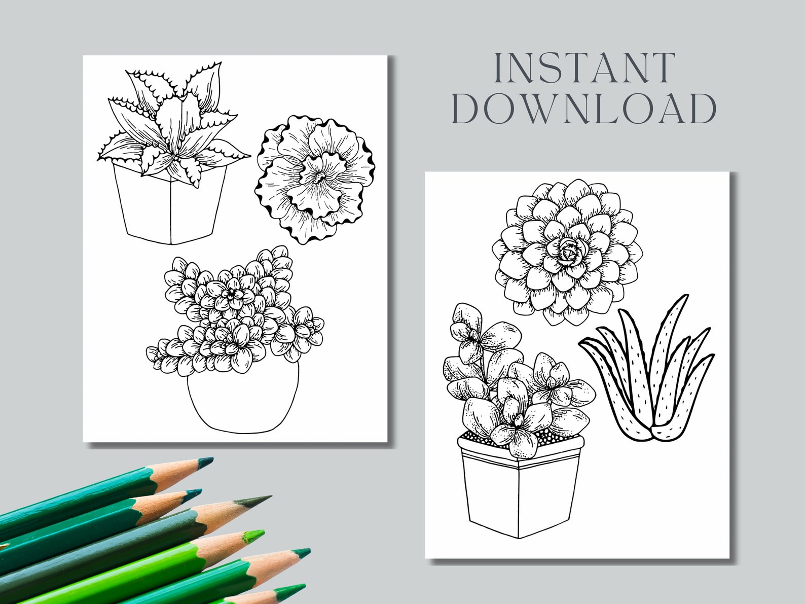 8 Succulent Coloring Pages, Succulent Prints, Nature, Printable ...