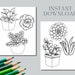 8 Succulent Coloring Pages, Succulent Prints, Nature, Printable ...