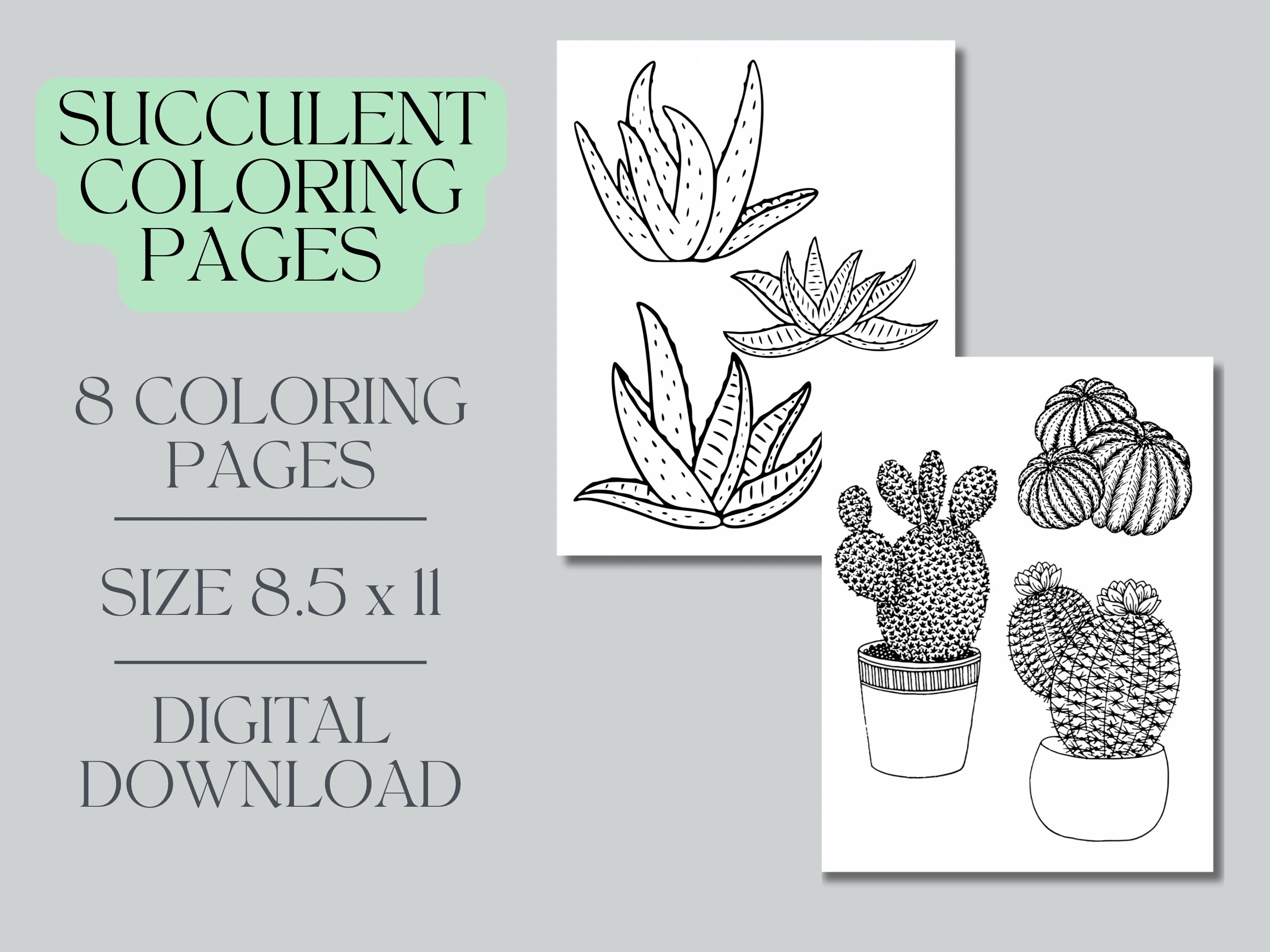 8 Succulent Coloring Pages, Succulent Prints, Nature, Printable ...
