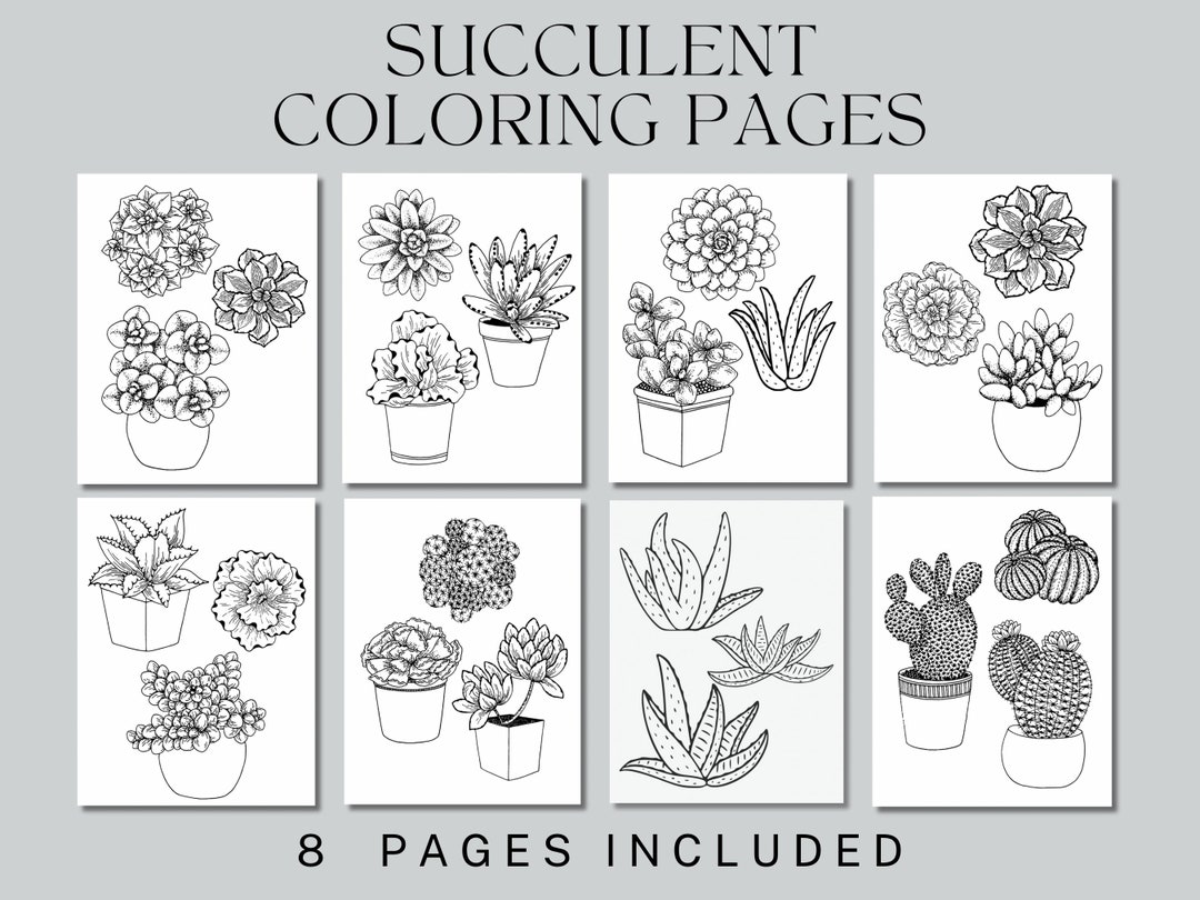 8 Succulent Coloring Pages, Succulent Prints, Nature, Printable ...