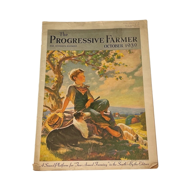 Vintage 1939 the Progressive Farmer and Southern Ruralist Magazine 2 ...