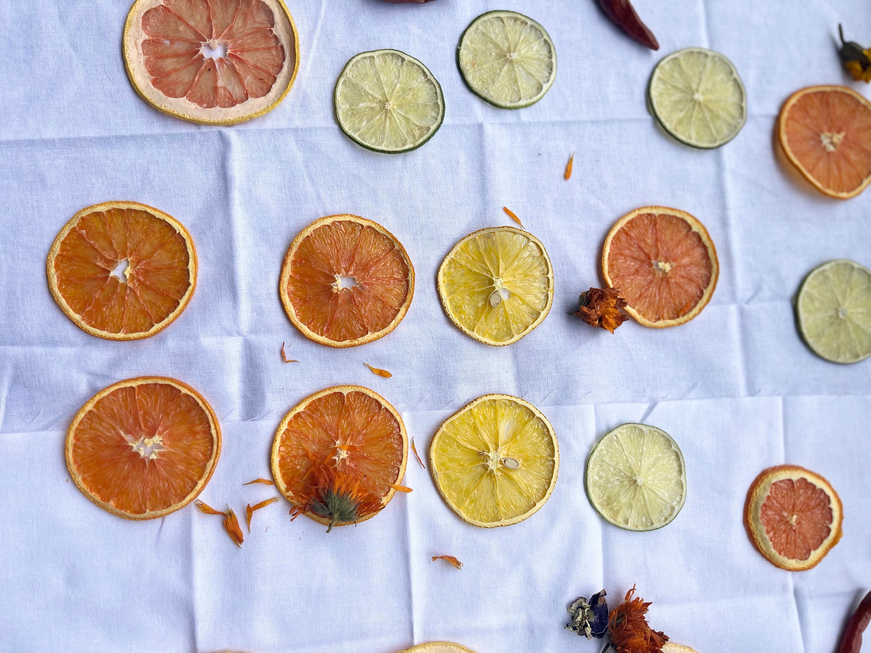 Cocktail Garnish Citrus Wheels - Etsy
