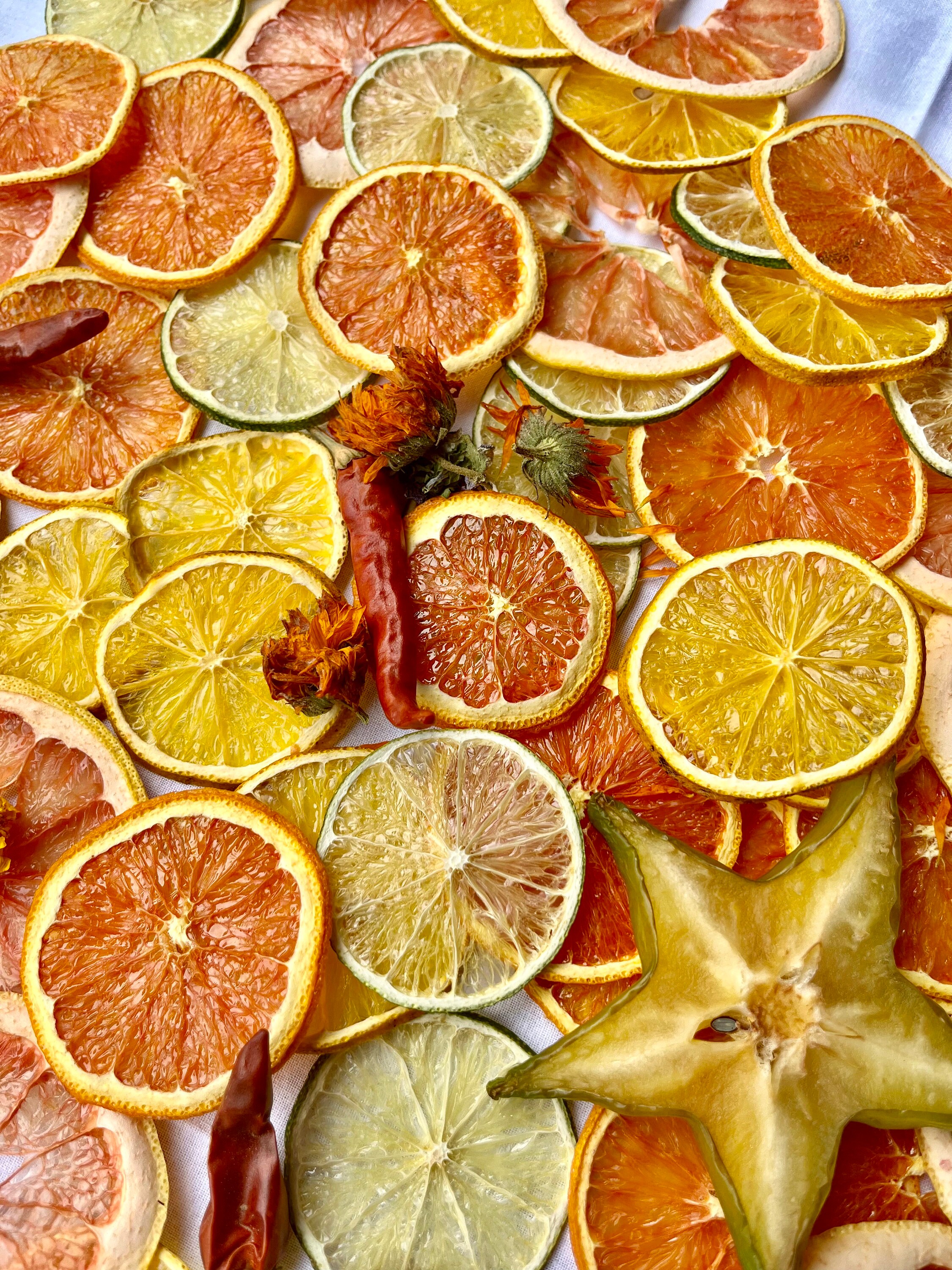Cocktail Garnish Citrus Wheels - Etsy