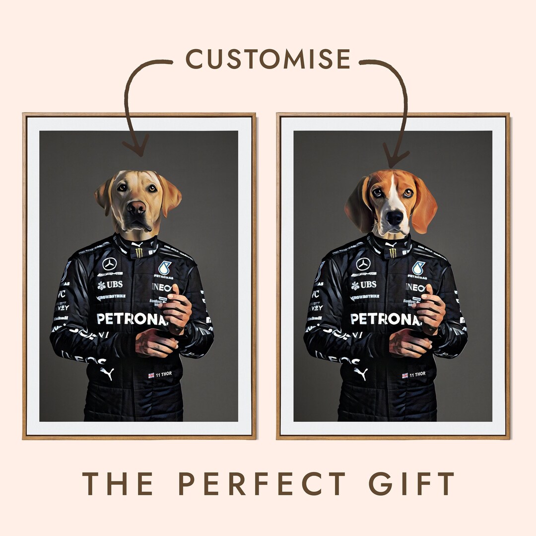Mercedes F1 Driver Team Funny Pet Custom Portrait From Photo Commission ...