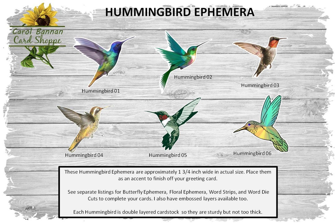 Hummingbird, Hummingbirds, Die Cuts, Ephemera - Etsy