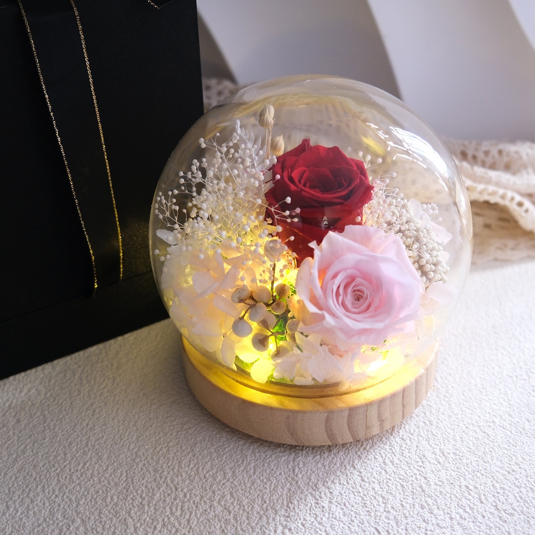 Preserved Rose Flower Dome: LED Night Light, Birthday Gift， Mother's ...