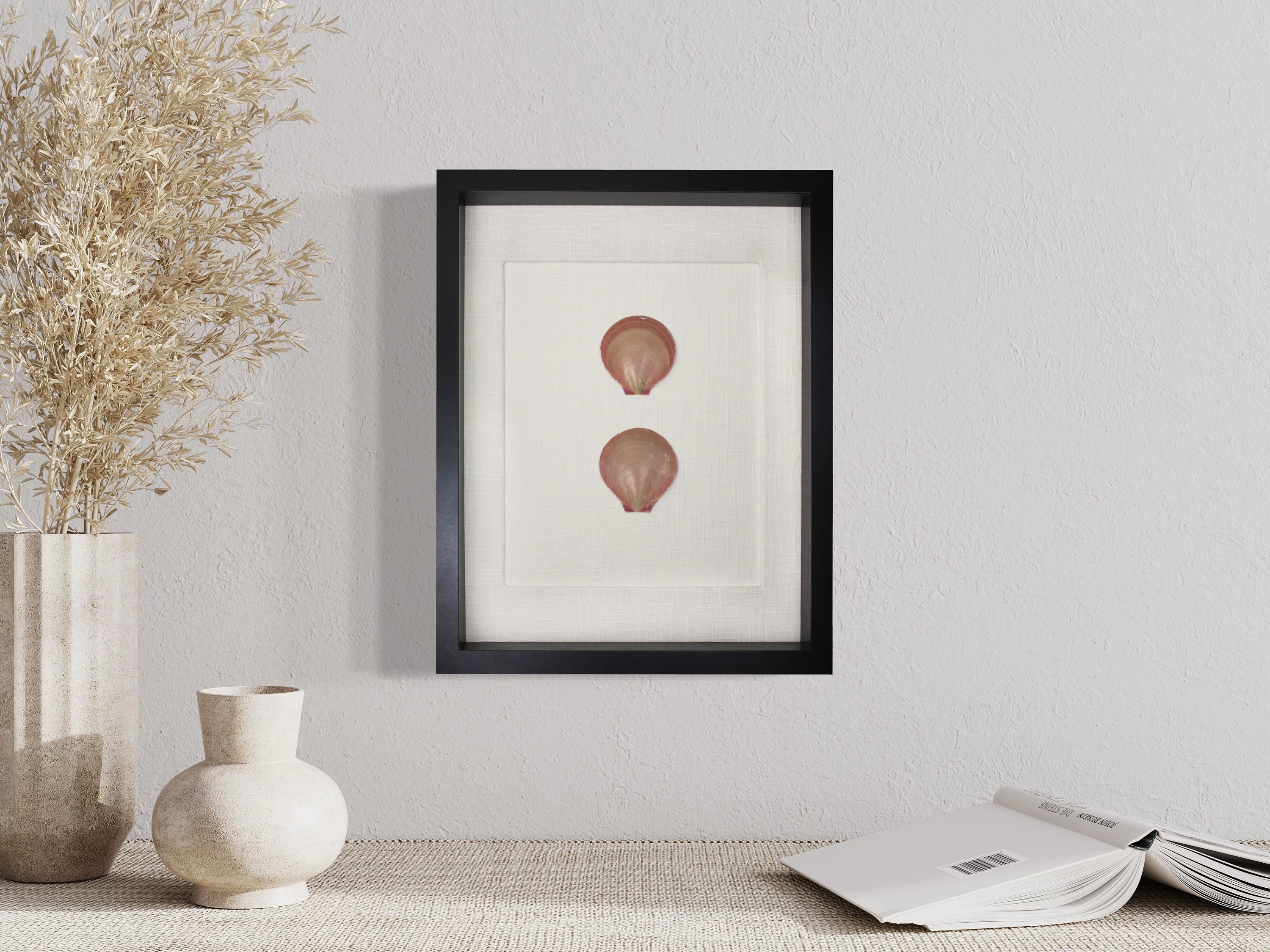 Seashell Wall Art Framed Shells in Shadowbox Black Frame With Ivory ...
