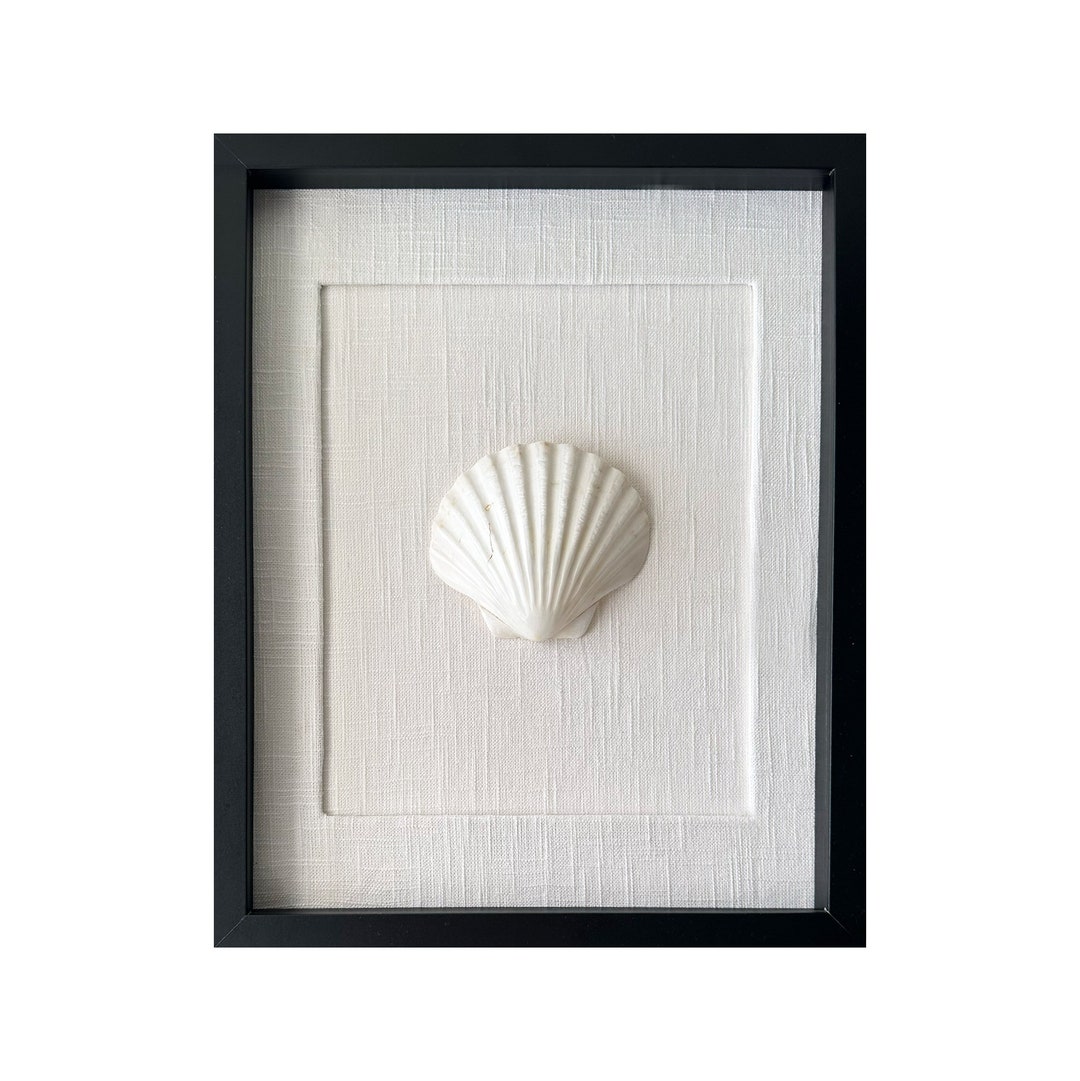 Seashell Wall Art Framed Shells in Shadowbox Black Frame With Ivory ...