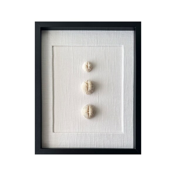 Framed Shell Art - Etsy