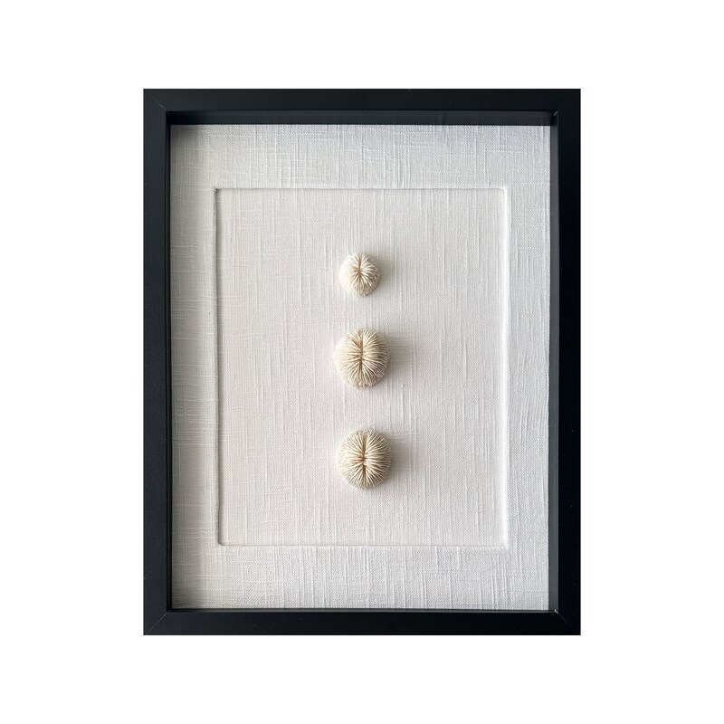 Framed Shell Art - Etsy