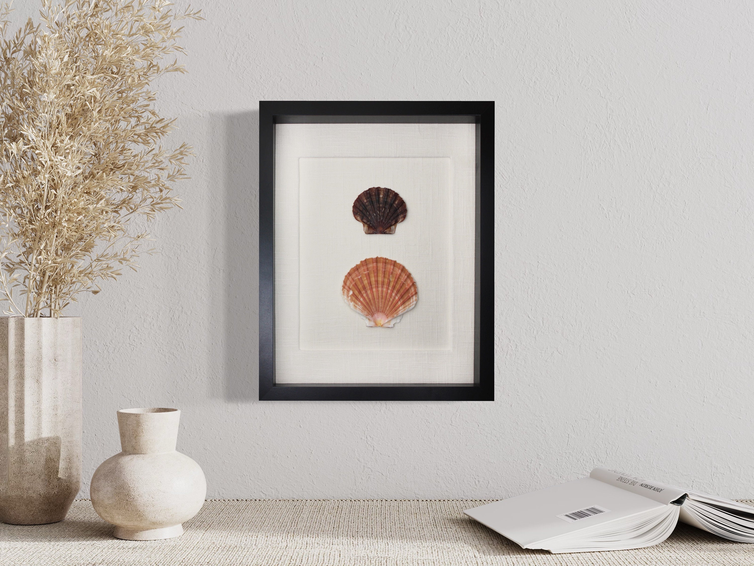 Seashell Wall Art Framed Shells in Shadowbox Black Frame With Ivory ...