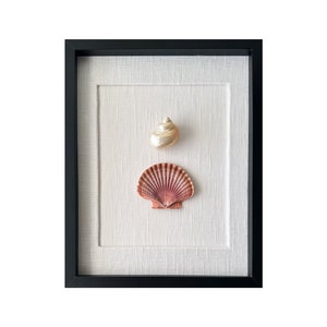 Seashell Wall Art Framed Shells in Shadowbox Black Frame With Ivory ...